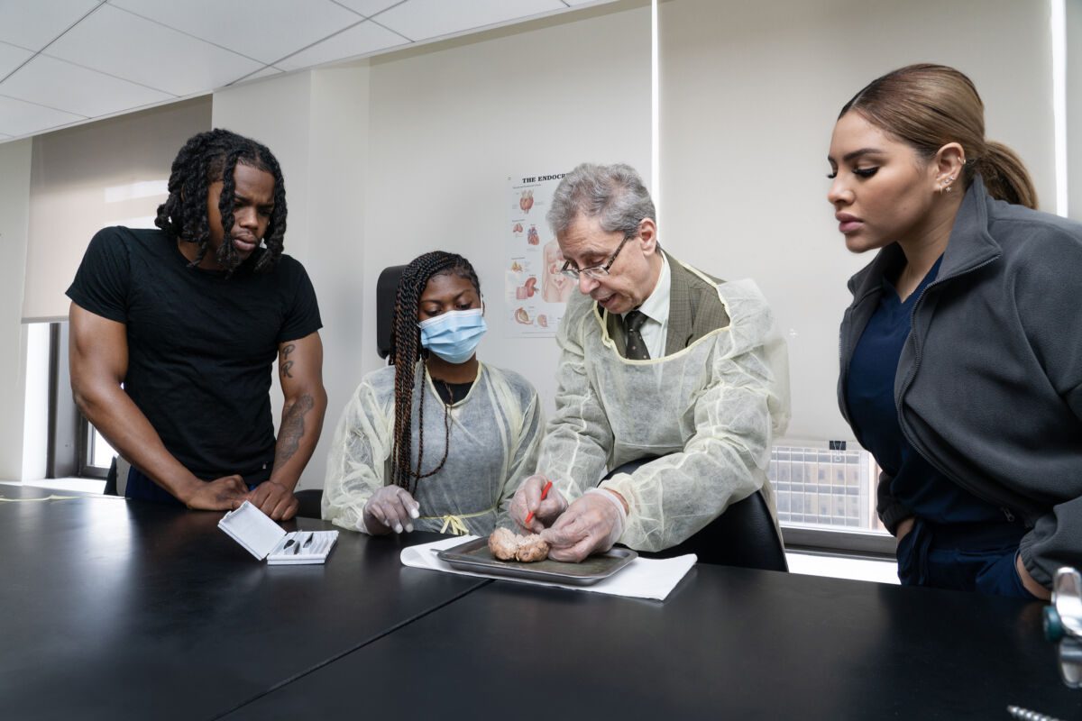 About - Mildred Elley